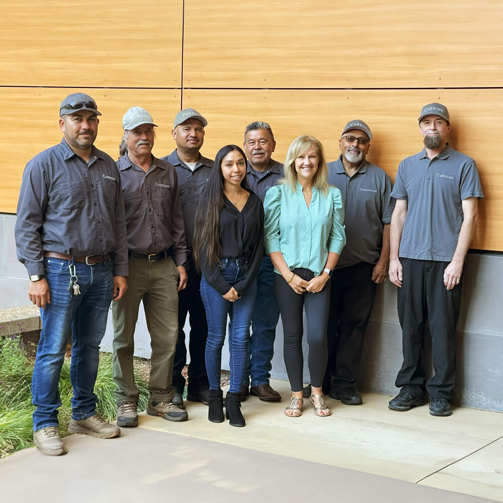 Codding Maintenance - Codding Enterprises